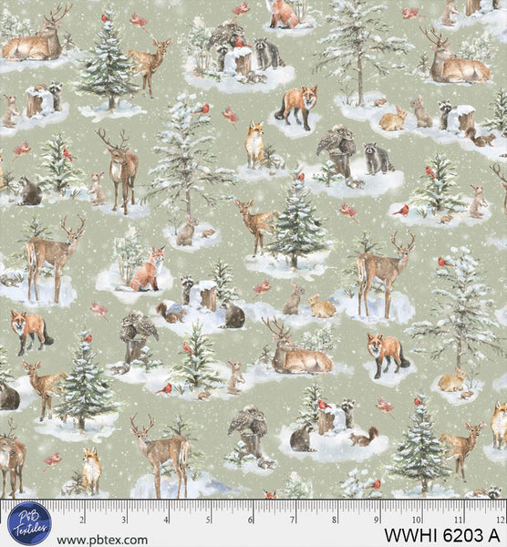 WWHI 6203 A – P&B Textiles